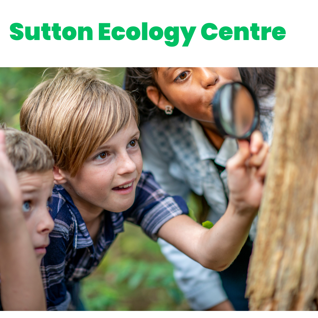Parent Toddler Group Volunteer - Sutton Ecology Centre - Volunteer ...